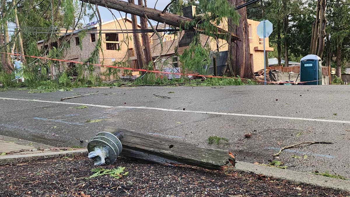 39,000 Customers Without Power After Puget Sound Windstorm - Malcontent News